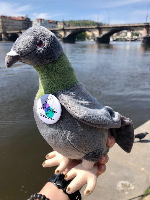 Plyšový holub A :: Holubi v nouzi